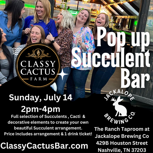 The Classy Cactus Succulent Bar – Classy Cactus Farm, LLC