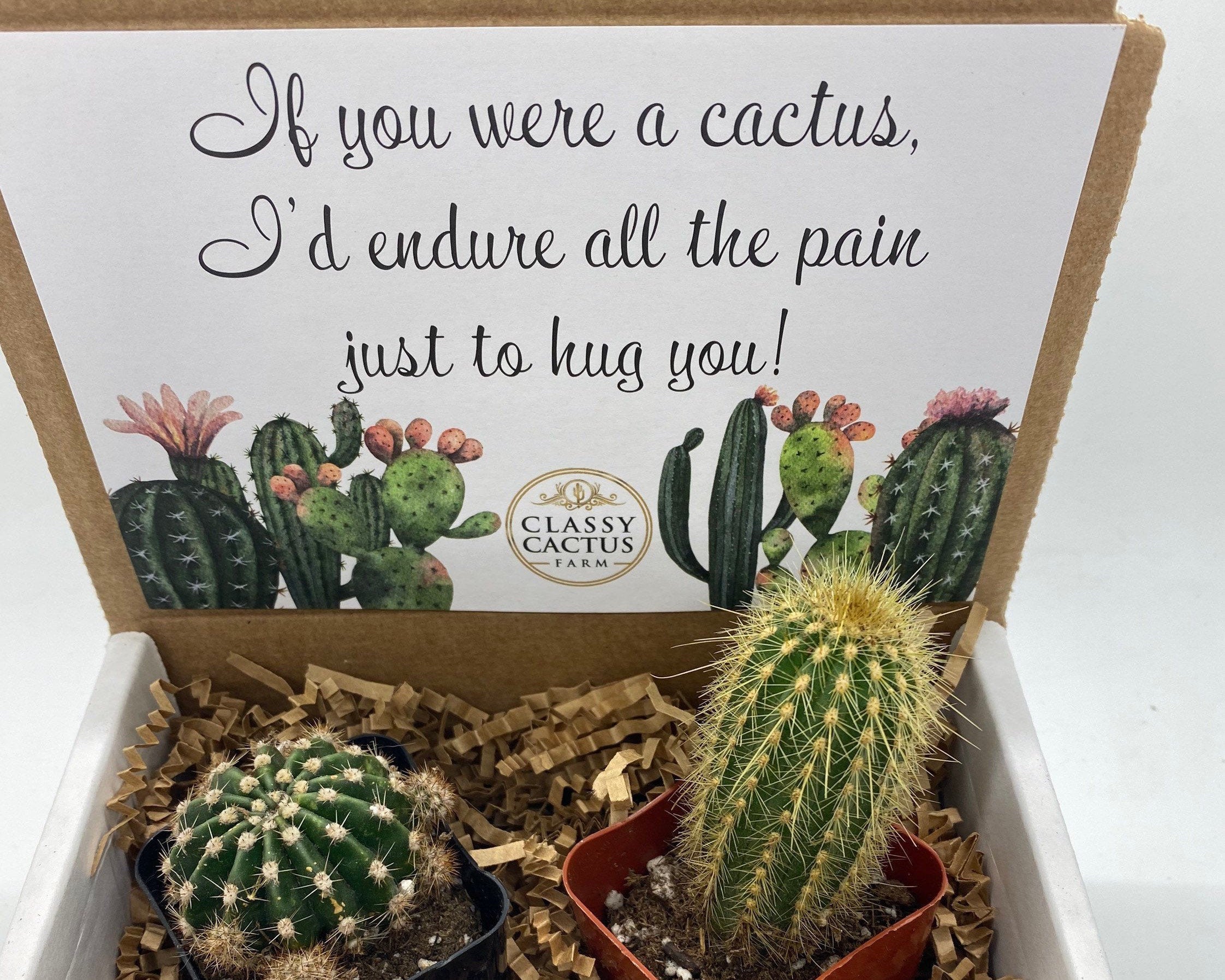 Cactus Gift Box - (set of 2) If you were a cactus... – Classy Cactus ...