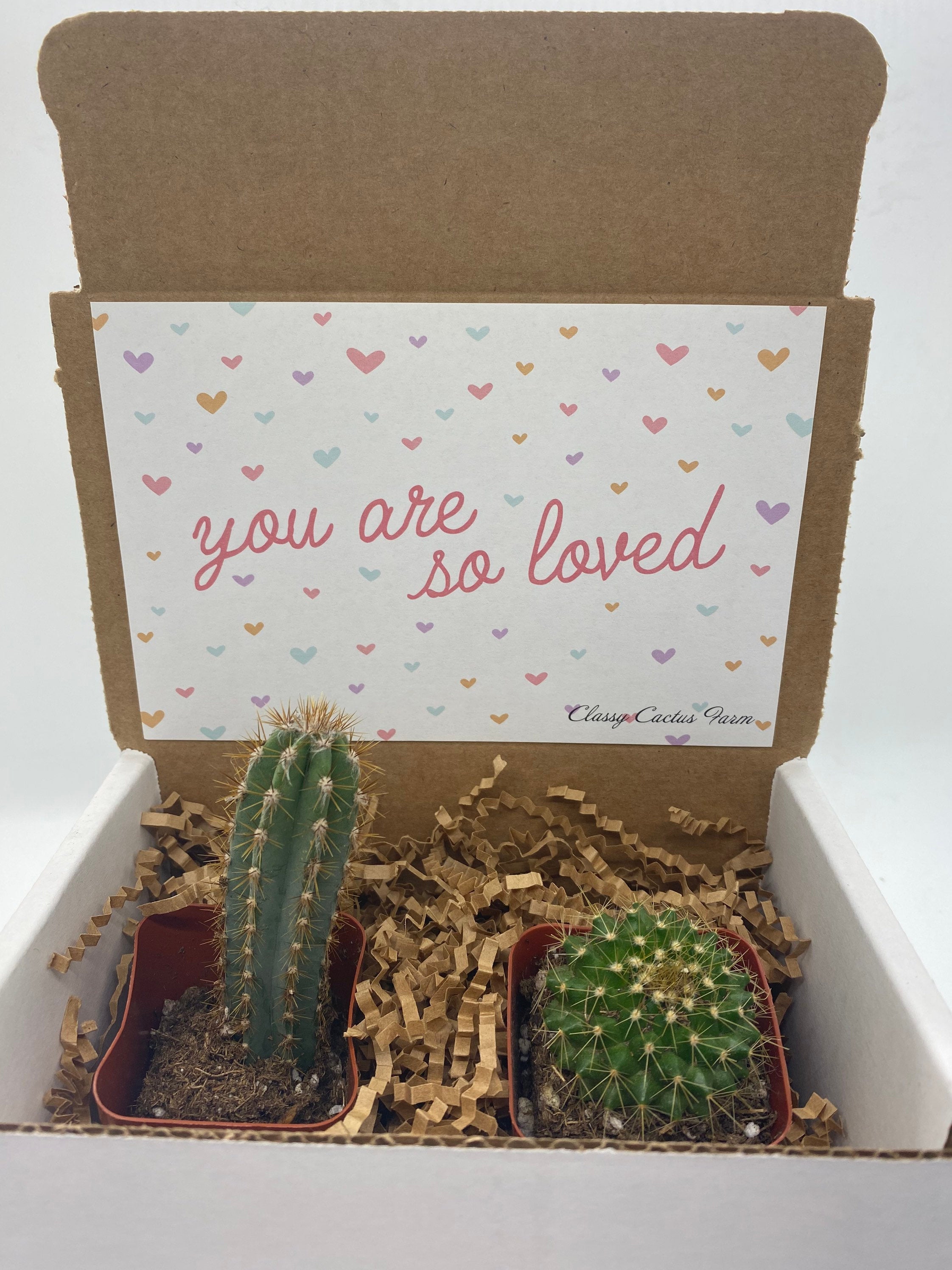 Cactus Gift Box - You are loved (set of 2) – Classy Cactus Farm, LLC