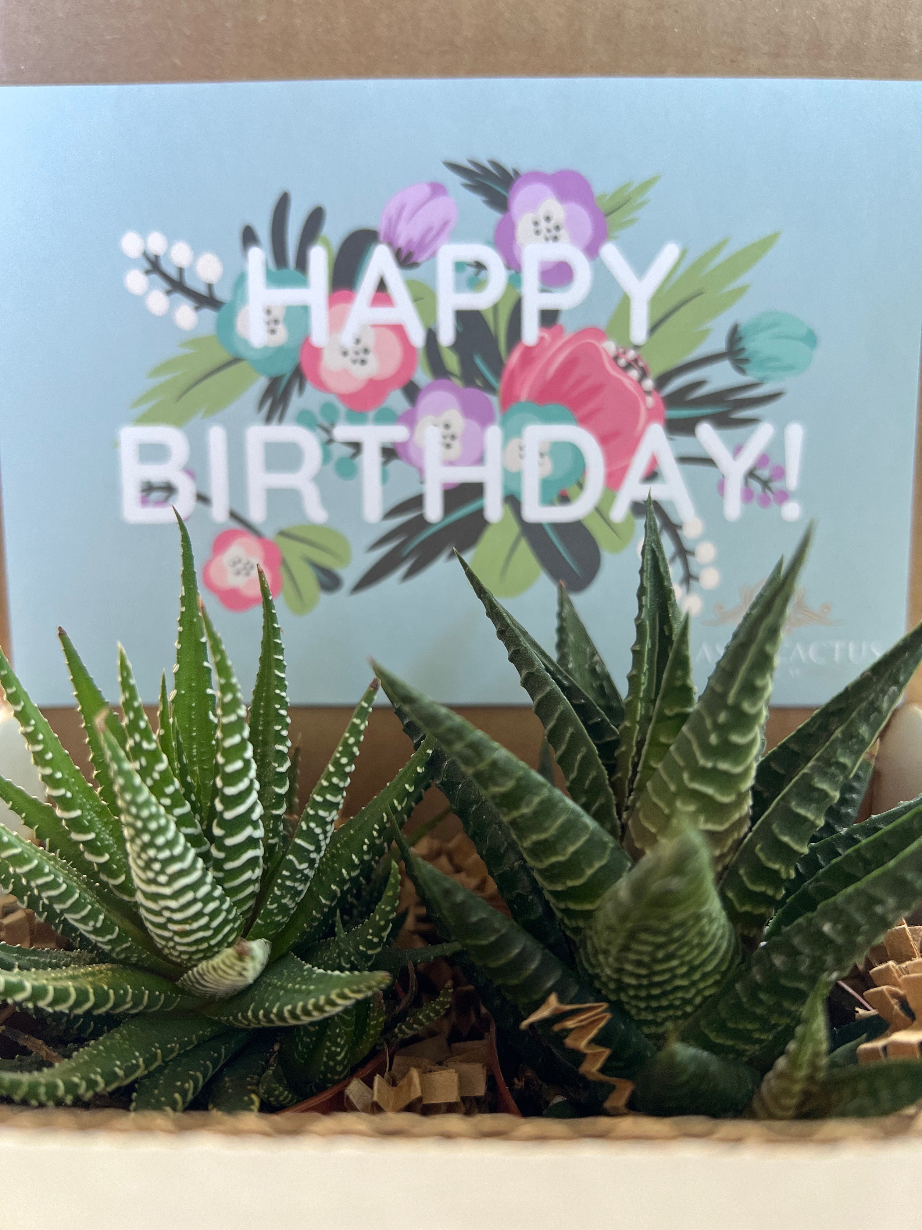 Floral Happy Birthday Succulent Gift Box – Classy Cactus Farm, LLC